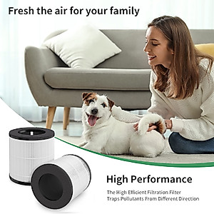 XBWW 2 Packs D09 Replacement Filter Compatible with Tailulu D09 H13 True HEPA Air Cleaner Purifier for Home Large Room Up to 1345 Sq Ft, CADR 180m³/h+