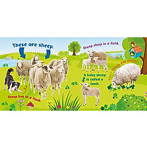 First Animal Facts: Farm-5 Button Animal Sounds Book