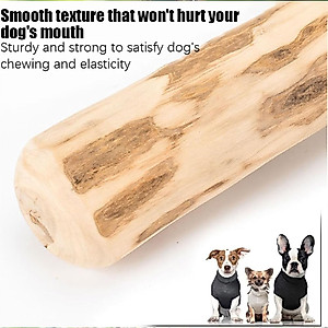 Wooden Dog Chews, Coffee Tree Dog Chews, Wooden Bones for Big Dogs, Wooden Chew Toys for Dogs - Dental Cleaning Stress Relief Toys (7.3in)