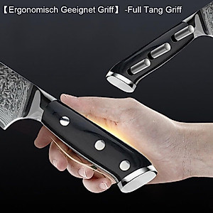 COOSNUG Damascus 4Pcs Kitchen Knife Set, Japanese VG-10 Stainless Steel 67 Layers Damascus Knife, Japanese 8" Chef knife, 7" Santoku knife, 5" Utility knife and 3.5" Paring knife Sharp Cooking Knife