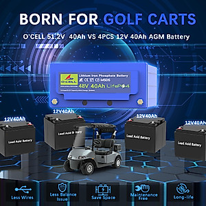 OCELL [2-3 Days Delivery 48V 40Ah LiFePO4 Lithium Deep Cycle Battery 10 Years Lifespan + 58.4V 5A Charger, 4096W Power Rechargeable Battery for Golf Cart, Club Car, Summer Off-Grid Outages, RV, Boat