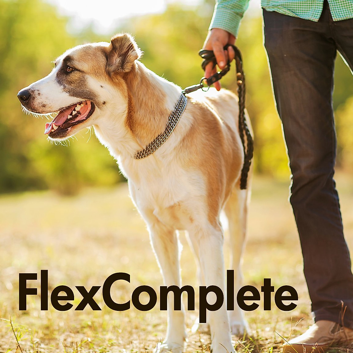 FlexComplete Liquid Vegetarian Glucosamine for Dogs - Joint Health and Mobility Support with Vegetarian Formula to Keep Pet Active and Healthy - for Small and Larde Dogs- Formulated in The USA