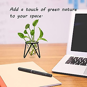 Plant Terrarium with Metal Stand, Desktop Air Planter Bulb Glass Vase for Indoor Live Hydroponics Plants Home Garden Office Decoration