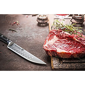 Dalstrong Gladiator Elite Series Forged High Carbon German Steel Steak 4-Piece Kitchen Knife Set with Black G10 Handle, 5 Inches, Sheaths Included