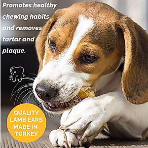 123 Treats - Lamb Ear Dog Chews (30 Count) - from All Natural Free Range Lambs - Quality Ears for Dogs