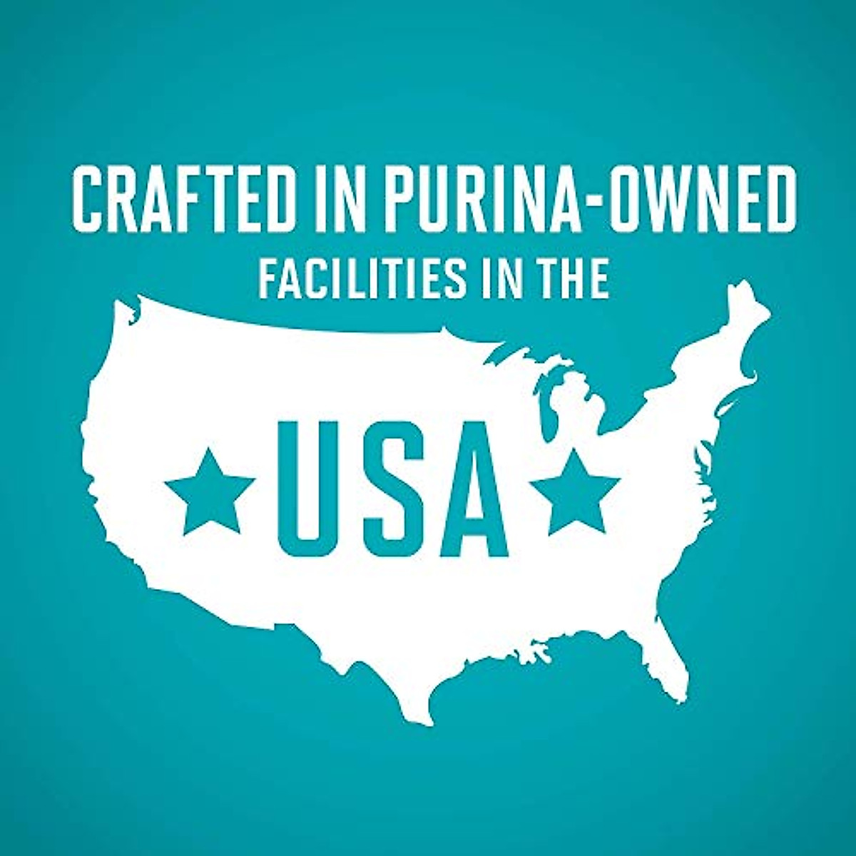 Purina ONE Grain Free Classic Turkey Recipe (12 CANS) (3 OZ Each)