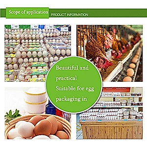 Clear Plastic Egg Cartons - Count Egg Holder, Reusable Fresh Egg Container for Storing Eggs for Kitchen/Groceries/Market/Farm/Farmers (35 Pack) LIZHE…