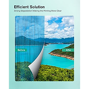 ECHALLENGE Printer Cleaning Kit Inkjet Printer Head Cleaning 100ML Kit -2 Pack for HP Brother Canon 8600 8610 6700 6900 Epson et-2720 et-2750 WF-7710 WF-3640 Liquid Printers Nozzle (Cyan, 200ML)