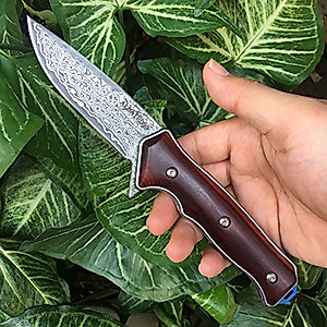 ALBATROSS HGDK001 EDC Classic Damascus Folding Camping Pocket Knives With Liner Lock,Cocobolo Wood Handle,Gifts/Collections