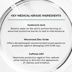 Replenix Hydrating Antioxidant Tinted Mineral Sunscreen with Medical-Grade Zinc, Dermatologist-Developed Oil-Free SPF 50+ for Face & Body (4 fl. oz.)