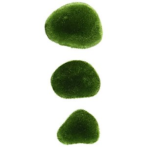 Fluval Decor 3 Moss Stones for Aquarium, Small