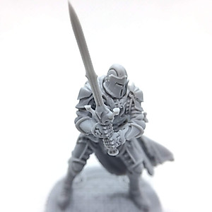Fantasy Minis 28mm Royal Knight Miniature for Tabletop RPG (D&D, DND, Dungeons and Dragons, Pathfinder, Frostgrave)