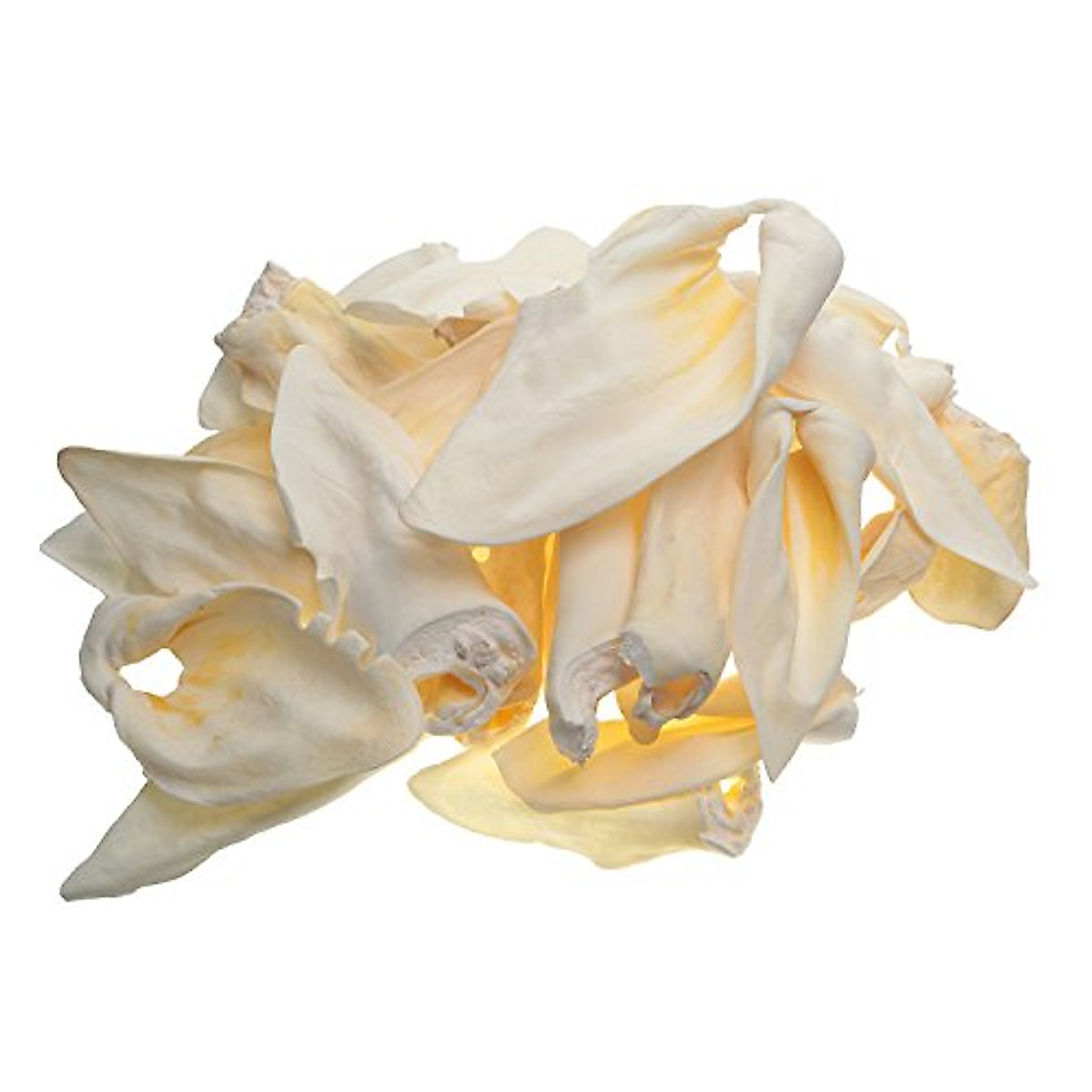 Brazilian Pet 100% Natural - Over 6 inches- Real Cow Ears (50 Pack) Prime Dog Chews, Free Range Grass Fed Cattle