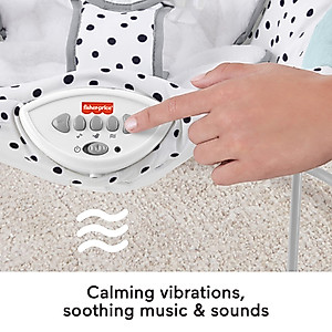 Fisher Price - Deluxe Bouncer Snugapuppy