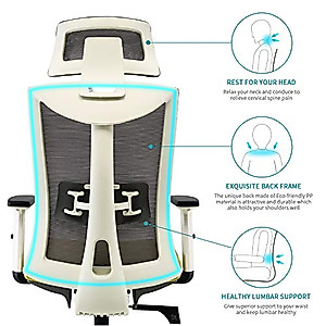 SIHOO Ergonomic Office Chair with Adjustable Lumbar Support and Armrests,Breathable Mesh Back and Padded Seat Desk Chair, Computer Chair for Work（Gray）