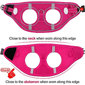 Joytale Small Dog Harness, Breathable Mesh Step-in Vest Harness, Reflective Soft Padded Harnesses for Small and Medium Dogs, Hot Pink, M