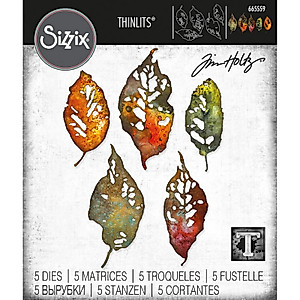 Sizzix Thinlits Die Set 5PK Leaf Fragments by Tim Holtz, 665559