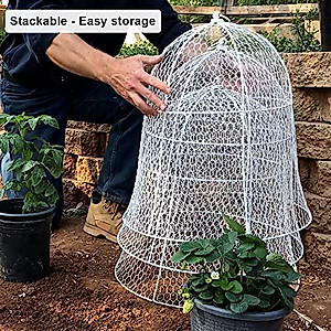 HEIDI & OLAV 3 Pack 20" & 3 Pack 14" Chicken Wire Cloche for Plants Squirrel Proof Metal Plant Cover Cage Garden Animal Protection Metal Plant Cage Protector Dome Rabbit Bunny Guard