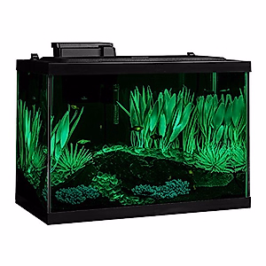 Tetra ColorFusion Aquarium 20 Gallon Fish Tank Kit, Includes LED Lighting and Decor