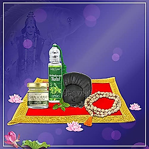 Vedic Vaani Lord Vishnu Avatar Matsya Shaligram Shila for Puja (Pack of 4)