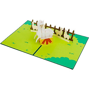 Ribbli Llama Handmade 3D Pop Up Card for All Occasion, Birthday Card, Thanksgiving Card, Christmas Card, Animal Card, Llama Gifts for Men Women Kids, with Envelope
