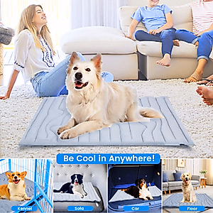 ZonLi Cooling Mat for Dogs, 36" x 23"Medium, Pet Pad Reversible (Cool & Warm), Sleeping Mats for Dog and Cat use in Crate, Machine Washable, Durable, Gel Free, Self Cooling, Grey
