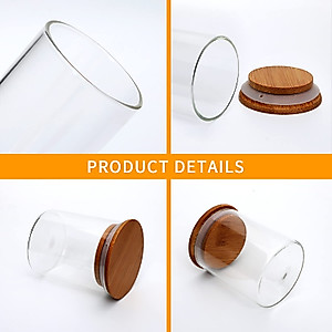 Encheng 4 OZ Glass Spice Jars with Lids Set of 30,Clear Glass Seasoning Container with Labels,100ML Mini Glass Jars with Bamboo Lids for Dry Food,Spice,Herb,Sugar,Salt.