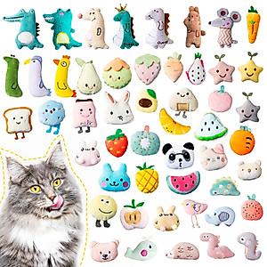 Jadive 50 Pcs Catnip Toys for Indoor Cat Plush Cats Toys Bulk Interactive Catnip Filled Kitten Toys Cat Chew Toy Pet Cats Supplies