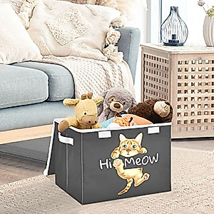 DOMIKING Funny Cat Large Storage Bin with Lid Collapsible Shelf Baskets Box with Handles Closet Organizer for Clothes Toy Gift Storage