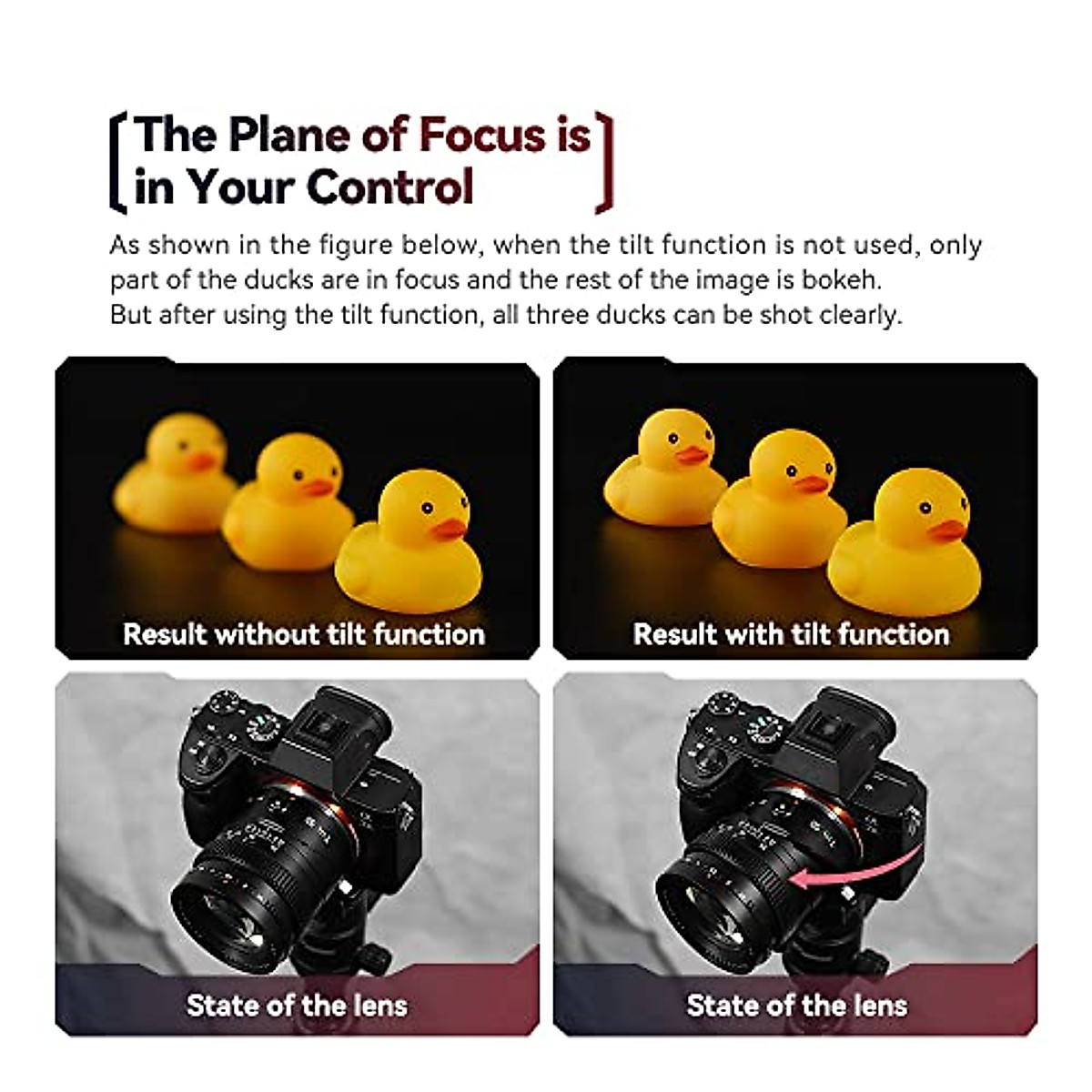 TTartisan 50mm F1.4 Tilt Lens, Compatible with Full-Frame Sony E-Mount Mirrorless Cameras Alpha a7 a7II a7III a7R a7RII a7RIII a7RIV a7S a7SII a9 a7C