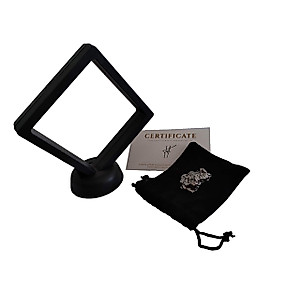 Campo Del Cielo 15-110 Grams Meteorite with Display Frame, Velvet Pouch, Certificate of Authenticity Large Genuine Large Massive Meteorite from Argentina (100-110g)