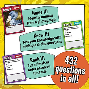 Mindware – Animal Trivia Challenge Game