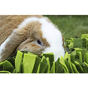 Rosewood Snuffle Forage MAT for Small Animals