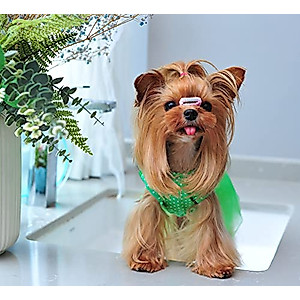 MSNFOASM 2Pack Pet Dog Tutu Skirt,Dog Tulle Spliced with Bow-Knot Dress for Small Girl Dogs Cats(Green&Pink 2XS)