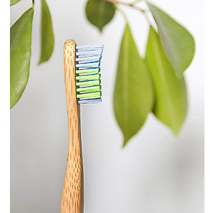 WOOBAMBOO Soft Dog Toothbrush, Large, Blue/Green, 5 Pound