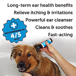 Pet Honesty Restore + Soothe Ear Cleaner for Dogs & Cats (Aloe Vera) 4oz + Multivitamin Dog Supplement with Glucosamine, Probiotics, Omega Fish Oil for Skin and Coat Allergies (Chicken 90 ct)