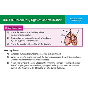 New Grade 9-1 Edexcel International GCSE Biology: Revision Question Cards (CGP IGCSE 9-1 Revision)