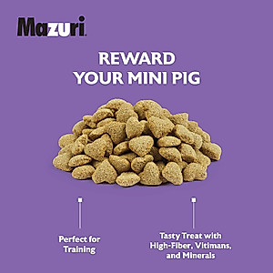 Mazuri® Mini Pig Treats – Oat & Honey, 6 lb.
