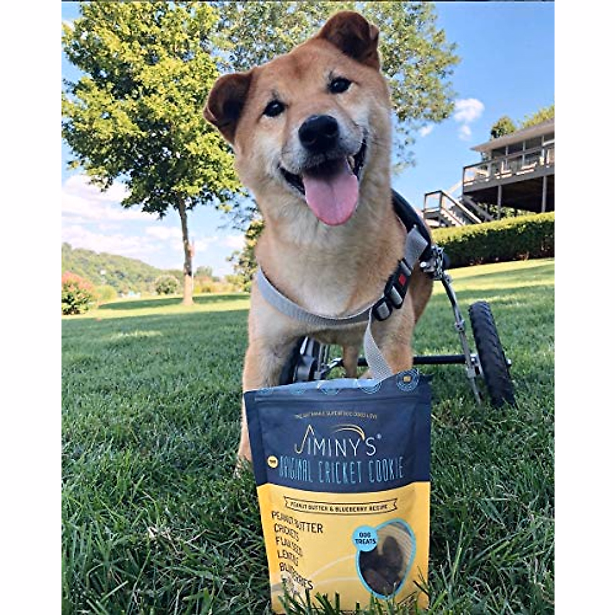 Jiminy's Cricket Treats - Hypoallergenic Dog Treats, 100% Made in The USA, Cricket Dog Treats, Gluten-Free, Sustainable, All Natural Dog Treats, High Protein - Peanut Butter & Blueberry, 6oz Bag