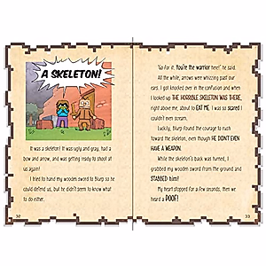 A Noob's Diary of an 8-Bit Warrior (Volume 1)