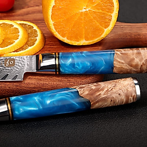 Dnifo Kitchen Utility Knife 5 Inch, Damascus Steel Kitchen Knives -Super Sharp Ultimate All-Purpose Knife for Slicing, Mincing, Chopping - Non-stick Blade and Anti-rusting Forged