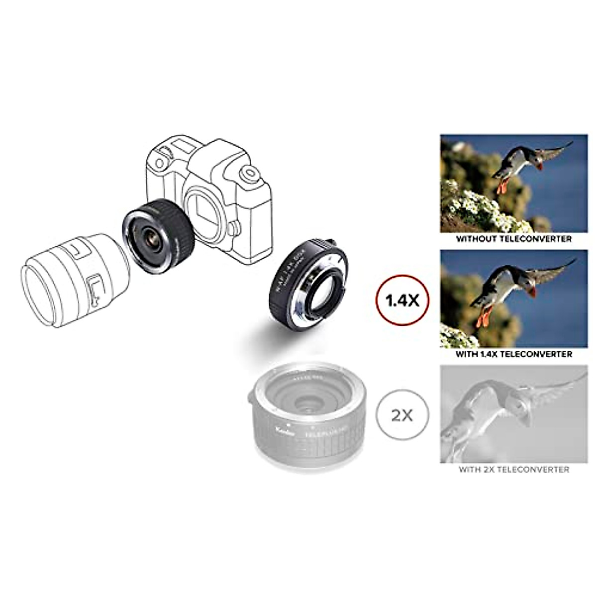 Kenko TELEPLUS HD DGX 1.4x Teleconverter for Nikon F-Mount G/E Type Lenses