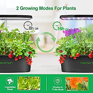 Herb Garden Kit Indoor - 12 Pods Hydroponics Growing System Indoor Garden, Indoor Gardening System with Sprouting Kit, 6L Smart Water Tank, Height Adjustable, Indoor Herb Garden with Grow Light
