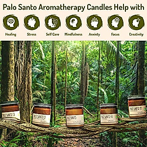 Maison Palo Santo Raw Genuine Palo Santo Essential Oil from Ecuador Aromatherapy Candle 9oz Handcrafted in USA with Natural Soy Wax for Purification & Cleansing Free Palo Santo Stick Included