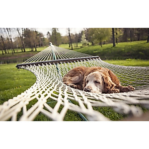 PETS HEALTH SOLUTION Dog Relax Chews - Premium Relaxant for Dogs - Amazing Calming AID - Natural Formula - Treat - Dog Relaxation Treats for Big Dogs - 270 Treats (3 Bottle)