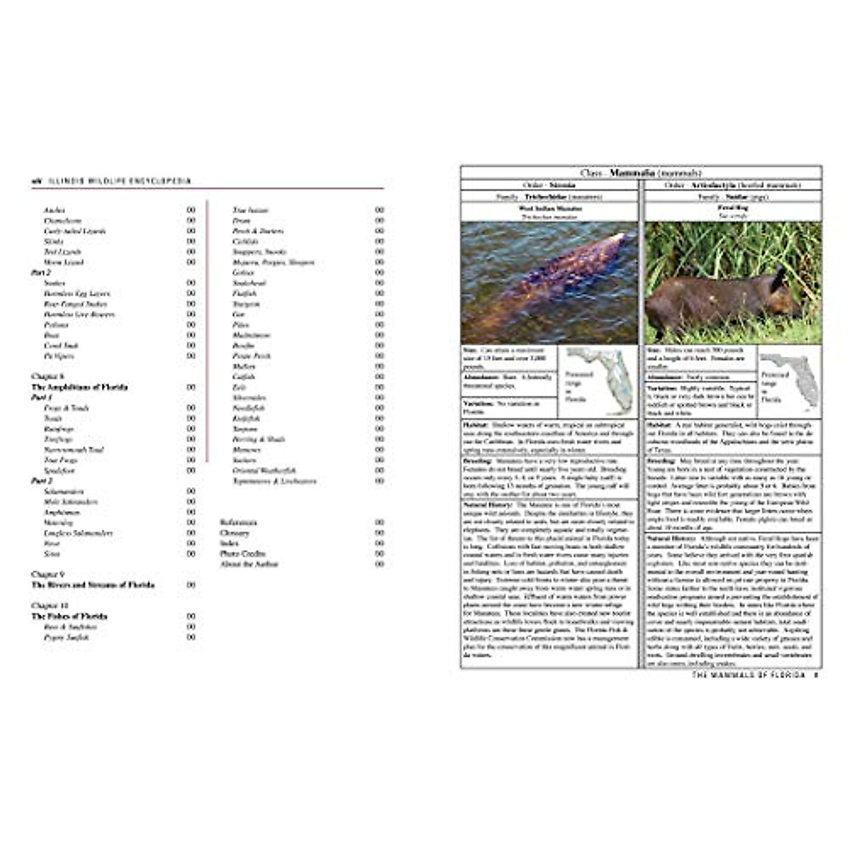 Florida Wildlife Encyclopedia: An Illustrated Guide to Birds, Fish, Mammals, Reptiles, and Amphibians