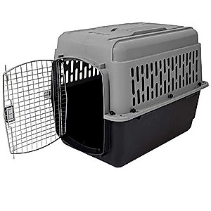 Petmate Pet Porter Large, Light Gray