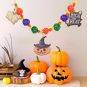 Abizoo Guinea Pig Toys Halloween, Chinchilla Toys Rabbit Toys Teeth Care Improve Pets Dental Health for Chinchillas Hamsters Rat Small Animals Playing Teeth Grinding Indoor Outdoor