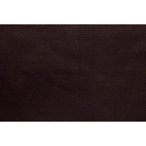 Homelegance Bastrop Double Reclining Sofa (Manual), Brown