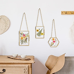 Double Glass Frame for Pressed Flowers - w/Real Dried Flowers and Tweezer for Handicrafts, Photo, or Other Small Flat Items